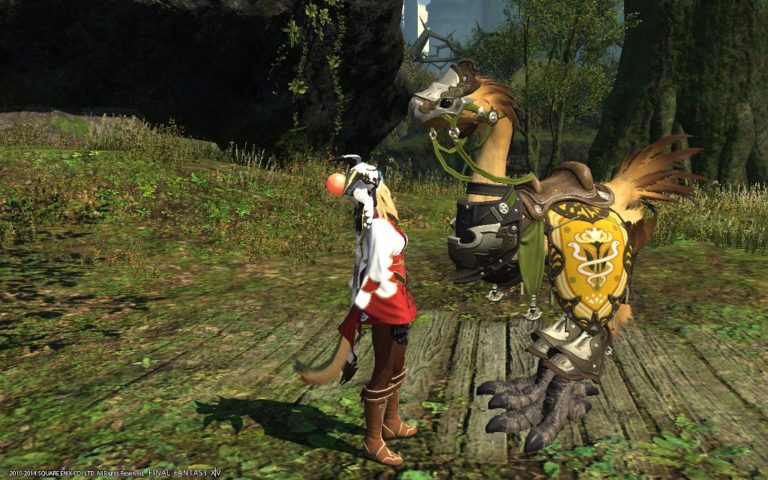 【FF14】チョコボ装備の画像一覧と入手方法 | FF14まとめった